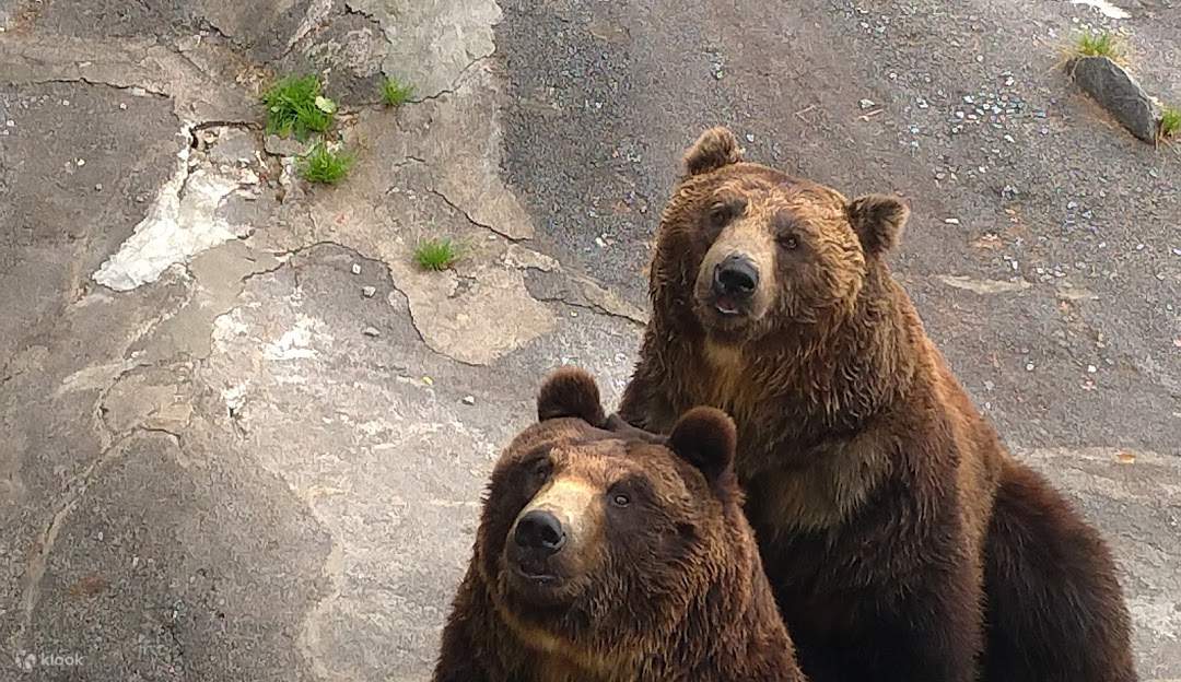 [Hokkaido | Noboribetsu Lake Toya Niseko One Day Tour] Little Fuji ...
